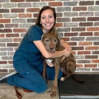 Our Veterinarians in Ormond Beach, FL | Pet Street Veterinary Care Center