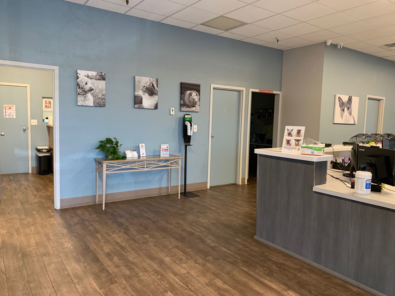 Gallery | All Creatures Animal Clinic