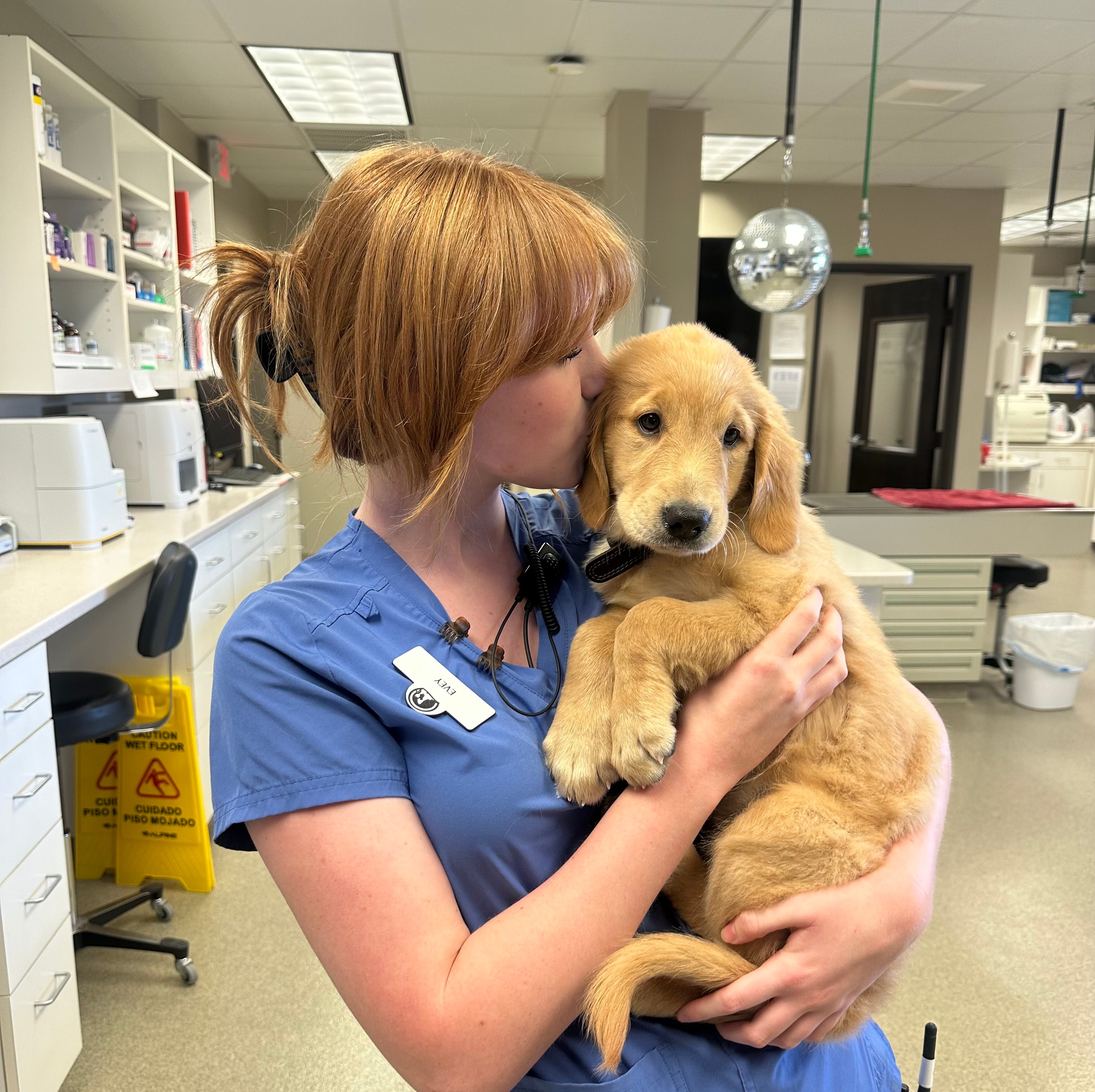 Our Veterinarians | Sunset Veterinary Clinic