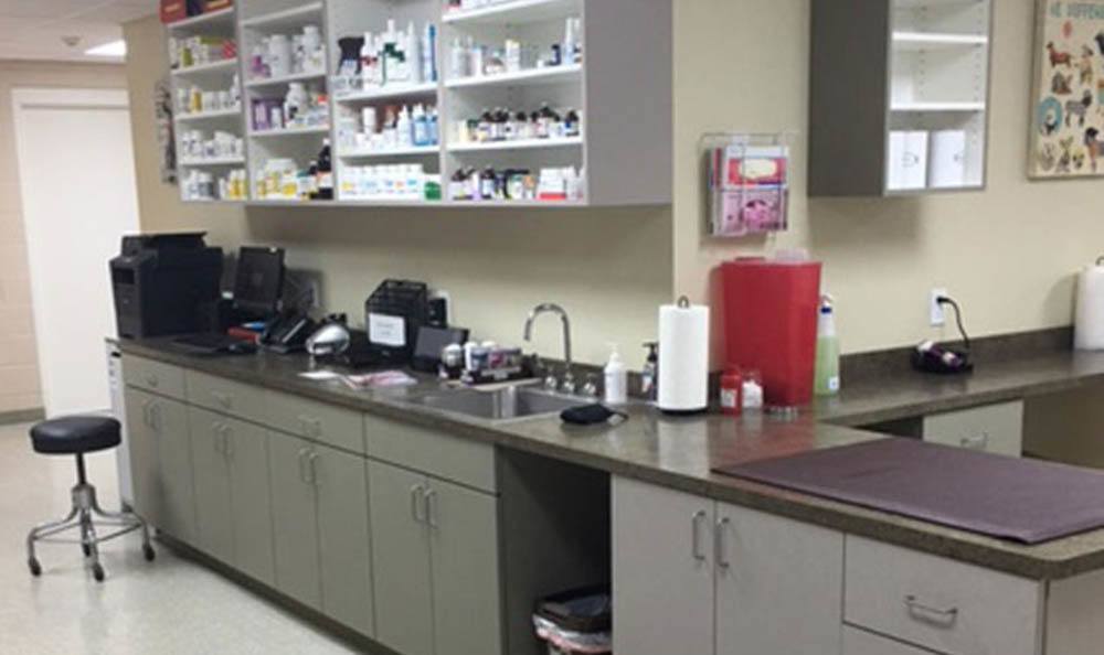 Gallery | Sun City Animal Hospital