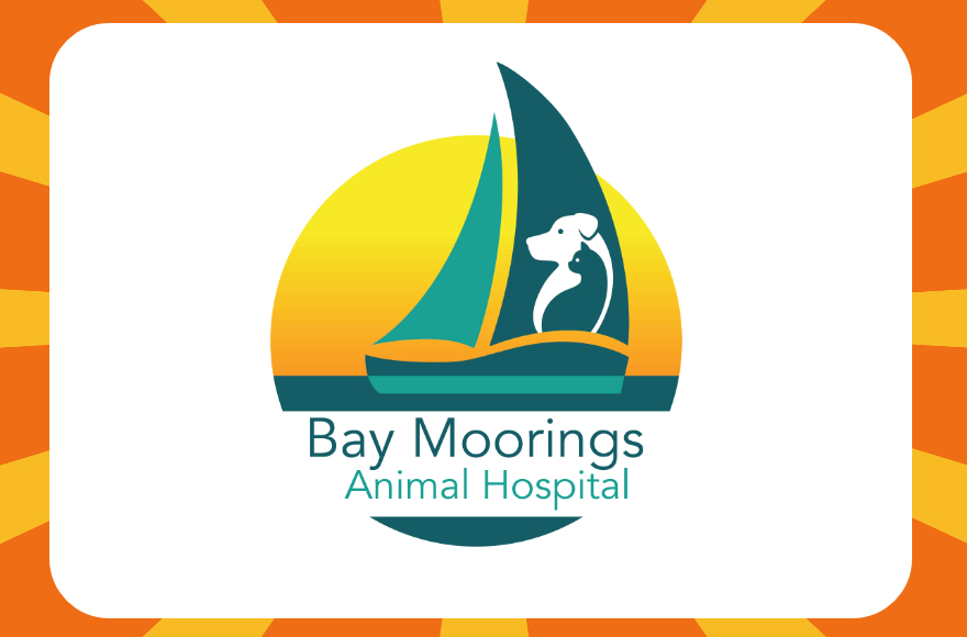 Homepage | Bay Moorings Animal Hospital