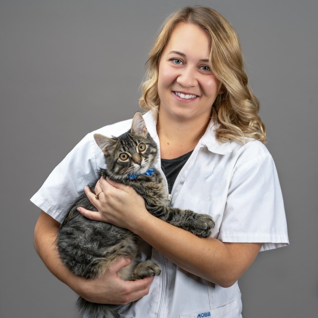 Dr. Bailie | Rose Valley Veterinary Hospital