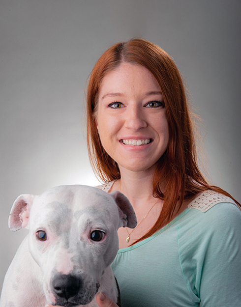 Emergency Veterinarians in Phoenix, AZ | VetMED Emergency & Specialty ...