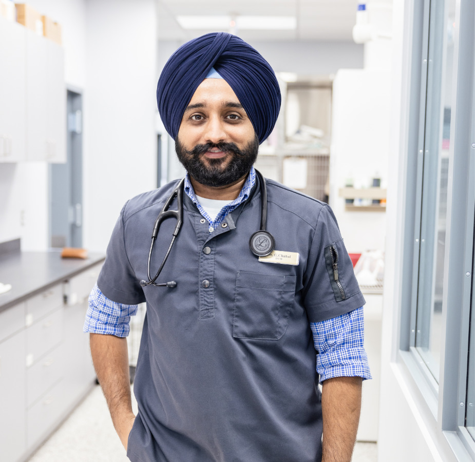 Our Animal Hospital | Burtch Animal Hospital