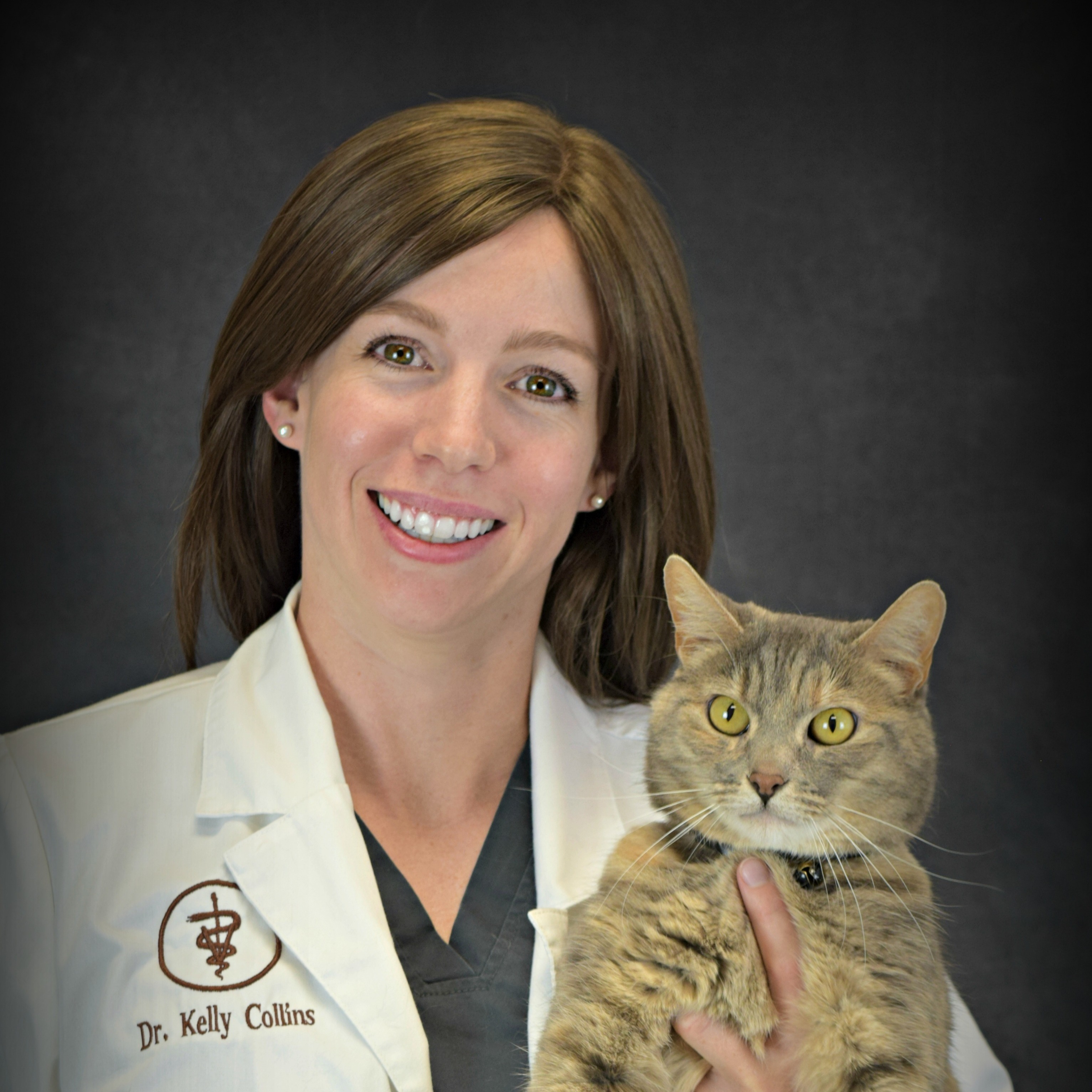 Kelly Collins's Instagram, Twitter & Facebook on IDCrawl