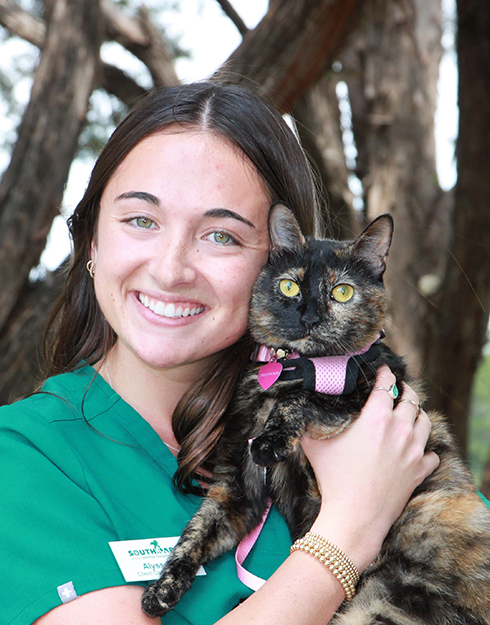 Our Austin, TX Veterinarians | South Park Animal Hospital