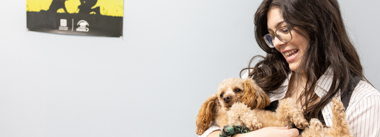 Animal Hospital in Kelowna, BC | Burtch Animal Hospital