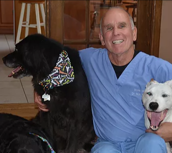 Our Team | Shore Veterinarians – Egg Harbor
