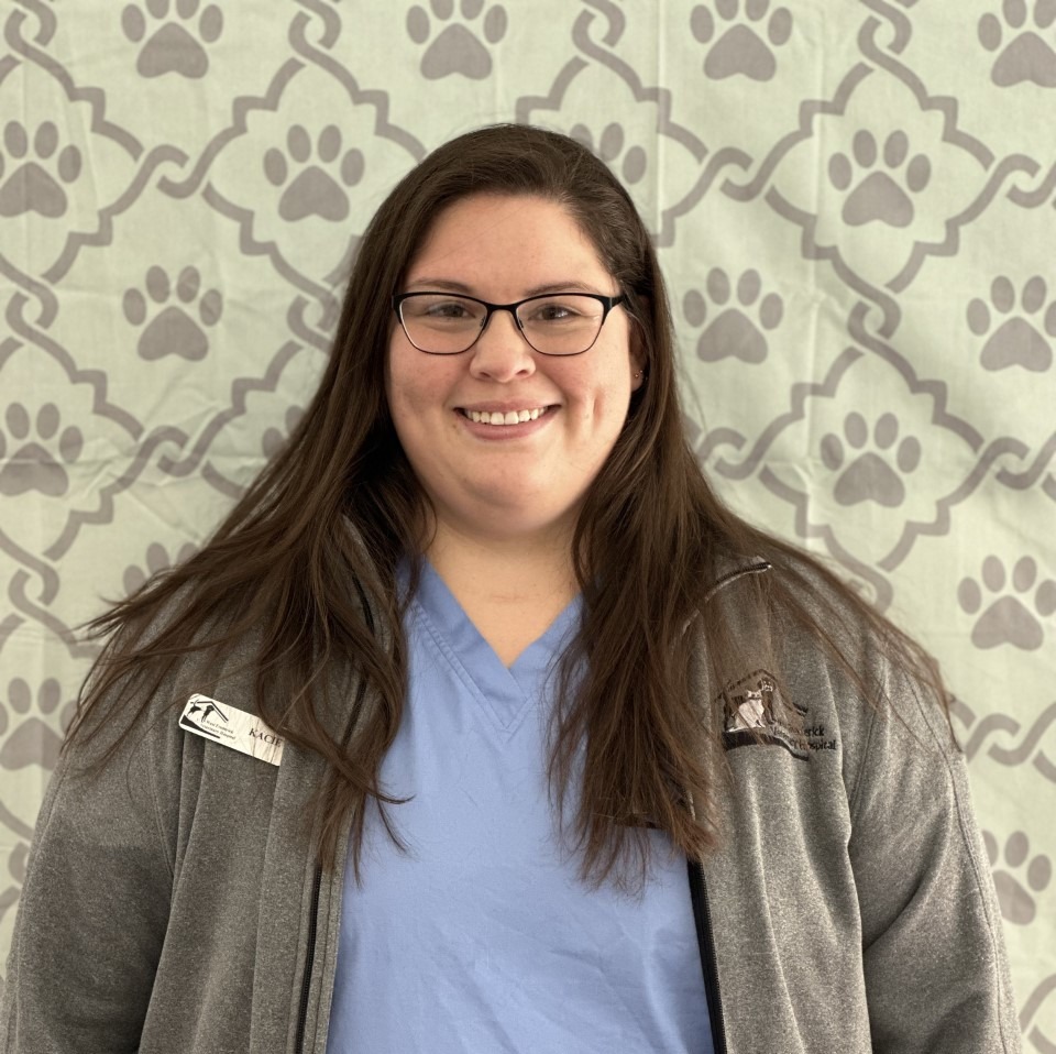 Our Expert Veterinarians in Frederick, MD | West Frederick Veterinary ...