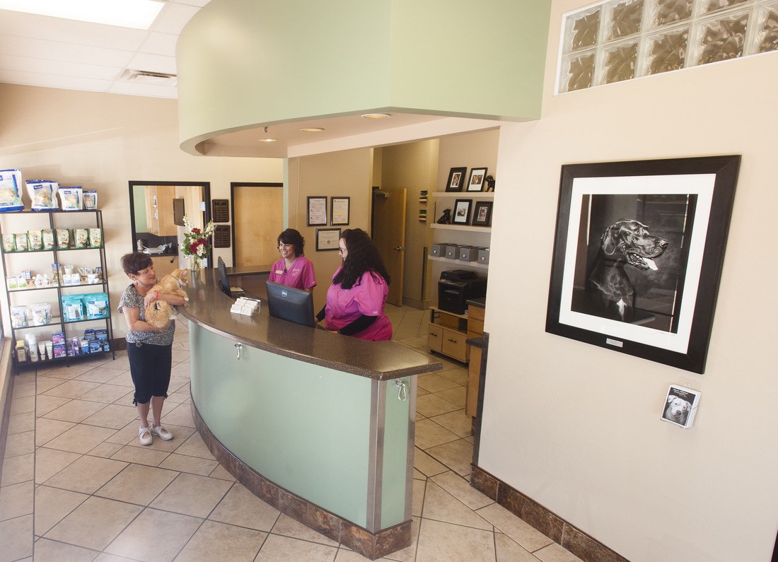Veterinary Facilities in Scottsdale, AZ | Pinnacle Peak Animal Hospital