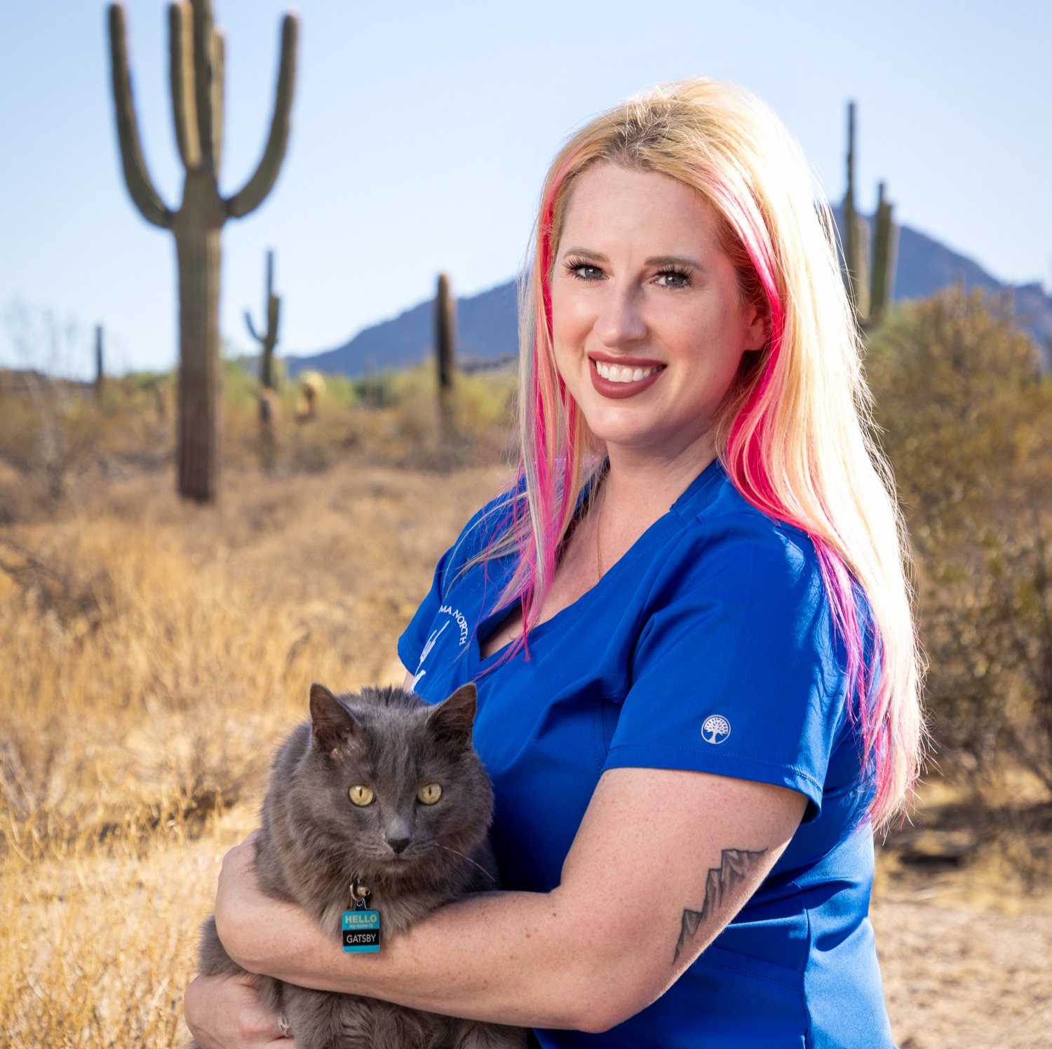 Our Veterinarians in Scottsdale, AZ | Pima North Animal Hospital