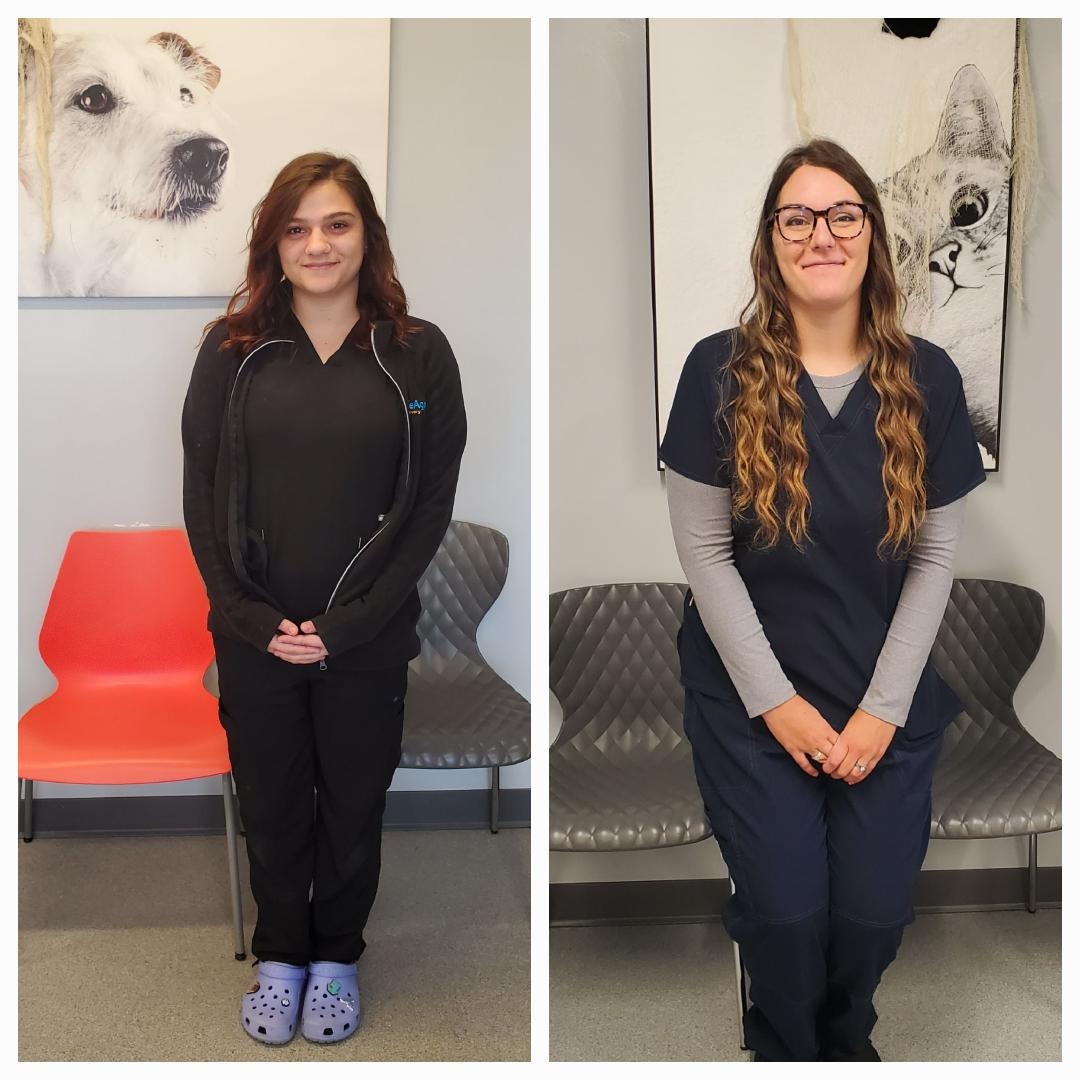 Our Animal Hospital Staff | Appalachian Veterinary Hospital