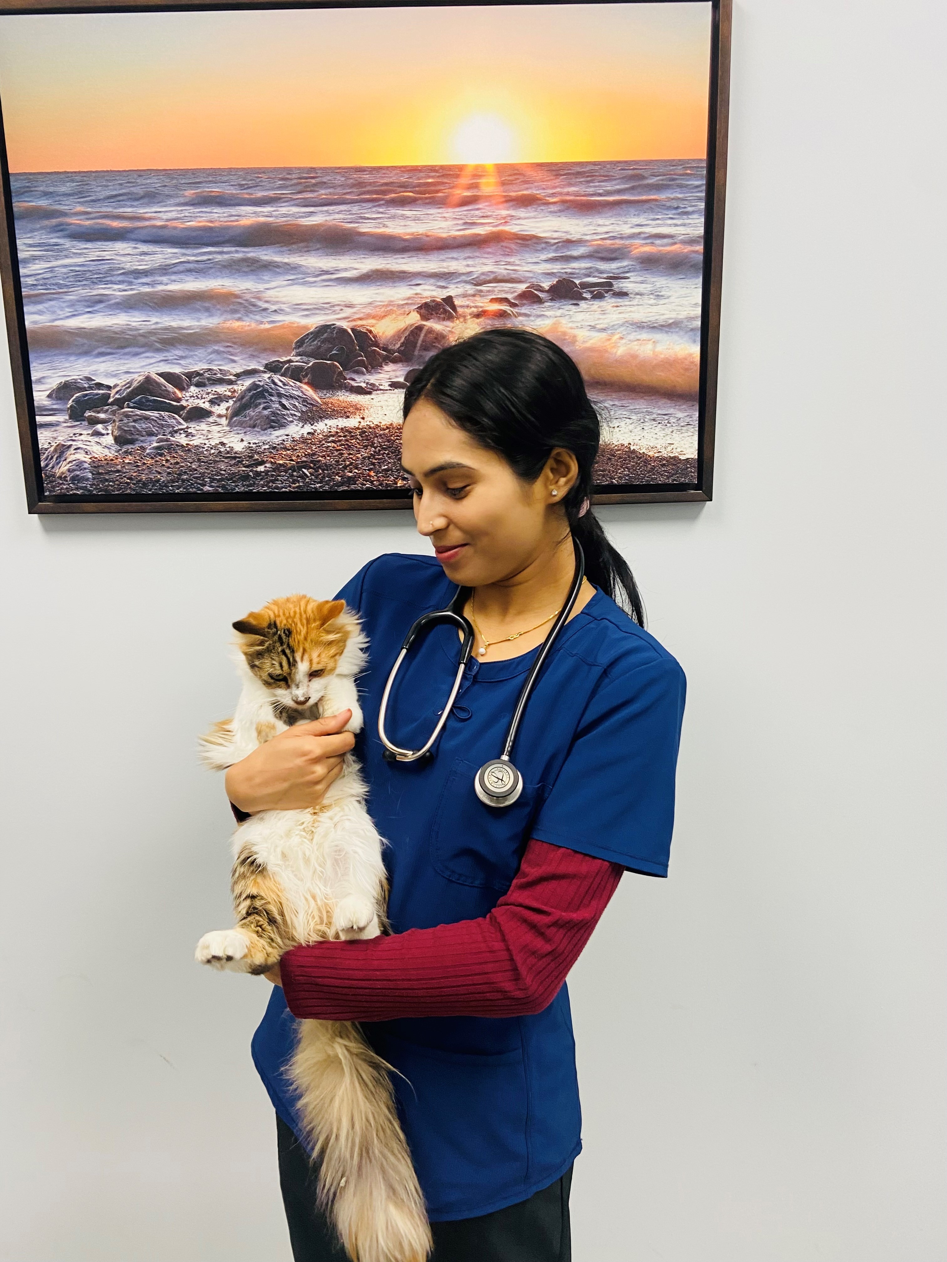 Our Animal Hospital Staff | Burtch Animal Hospital