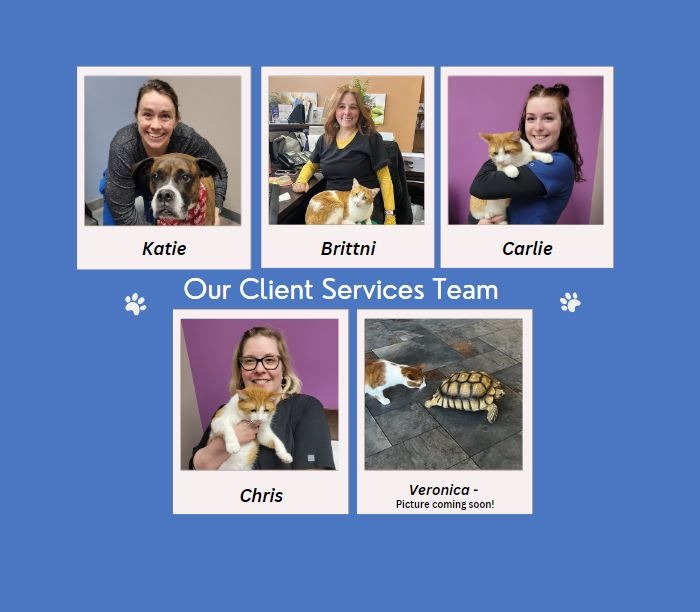 Our Client Service Team | College Park Animal Hospital