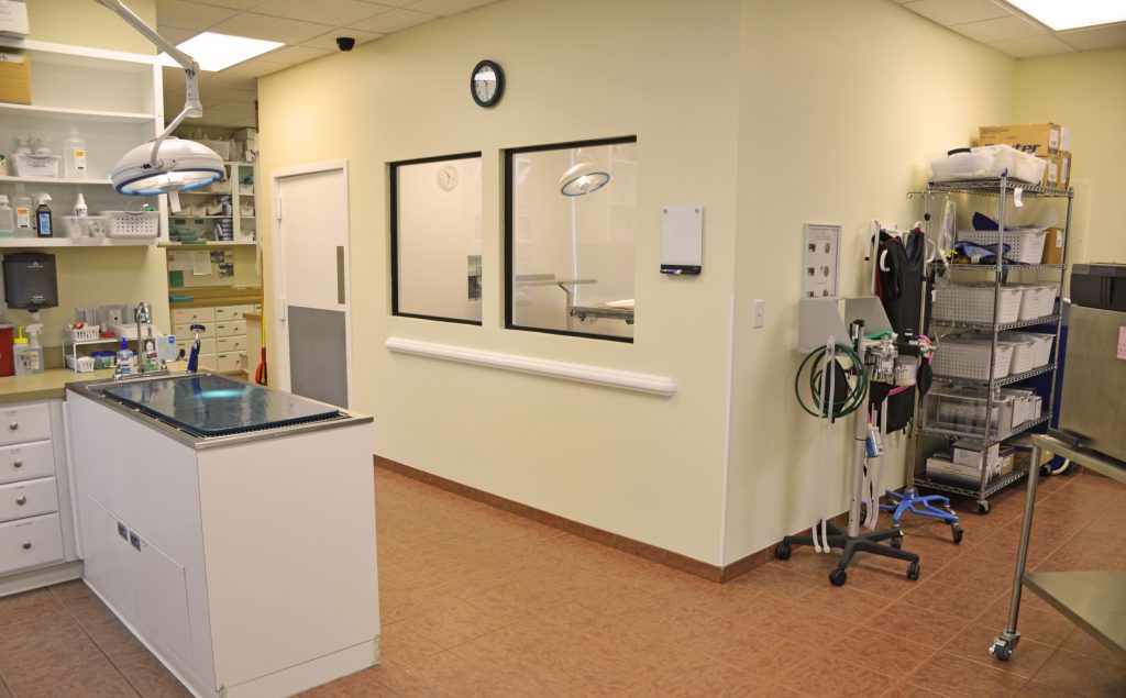 Our Facilities | Florida Veterinary Referral Center (FVRC)