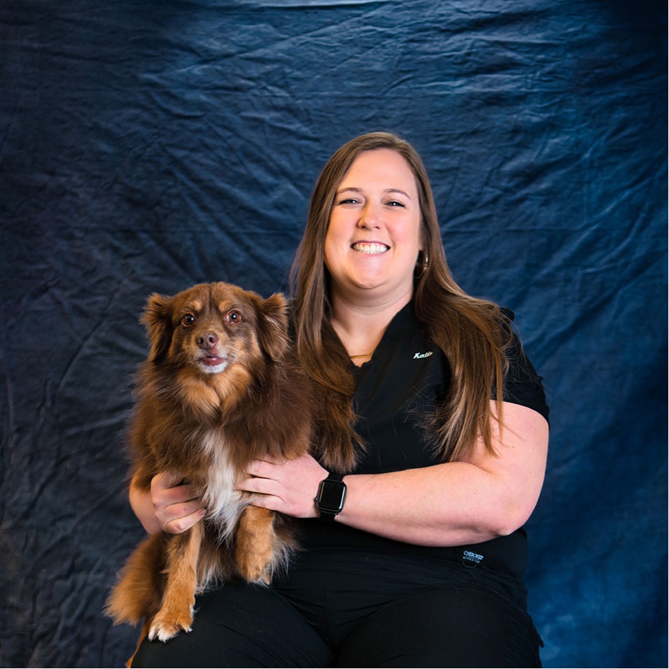 Staff | Animal Hospital of Denison