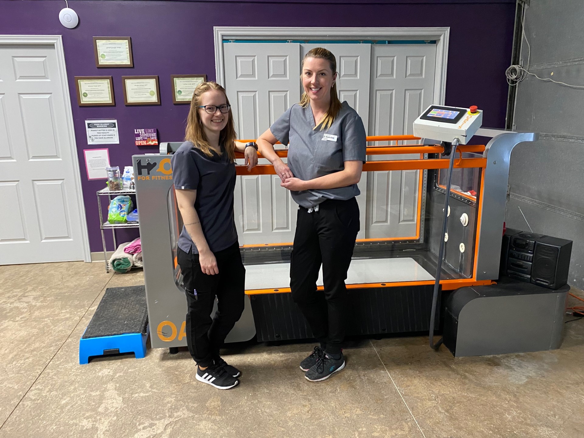 Canine Physical Rehabilitation | Mitchell Animal Hospital