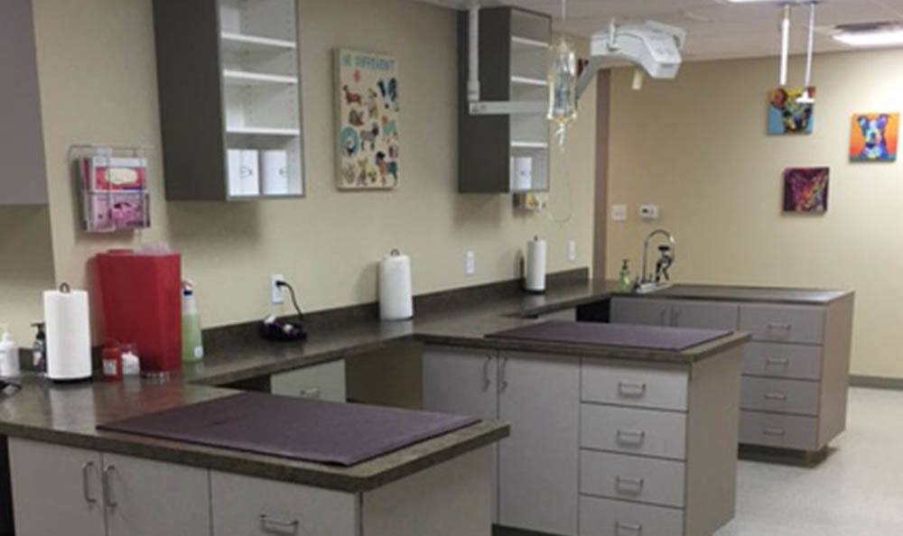 Gallery | Sun City Animal Hospital