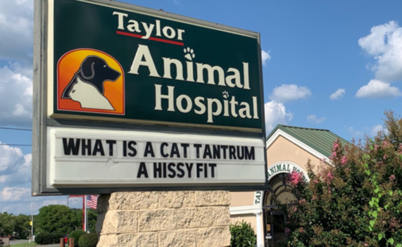 Veterinarian in Cleveland, TN | Taylor Animal Hospital