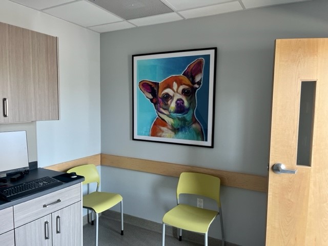Animal Hospital in West Springfield, MA | Veterinary Emergency ...
