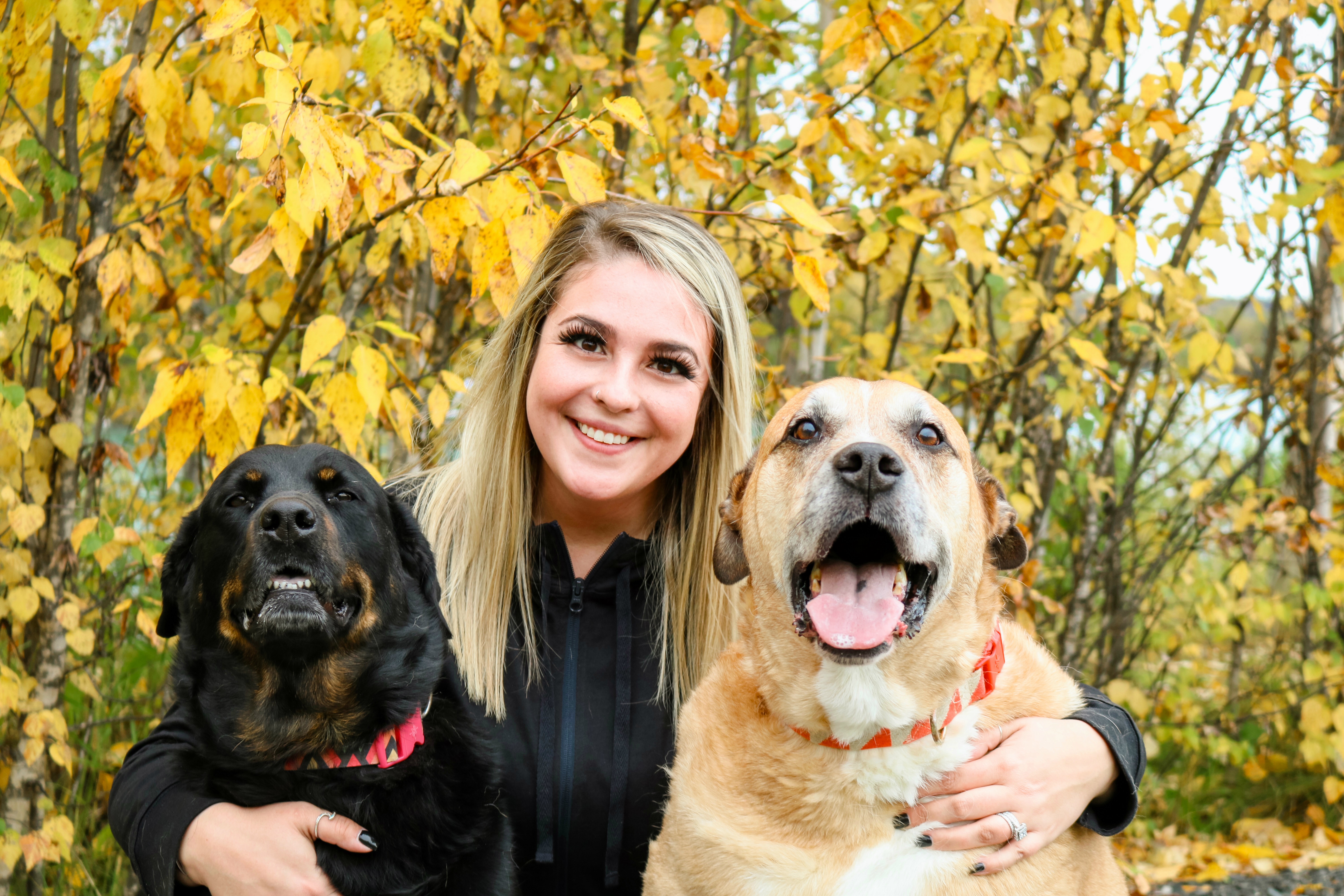 Staff | Soldotna Animal Hospital
