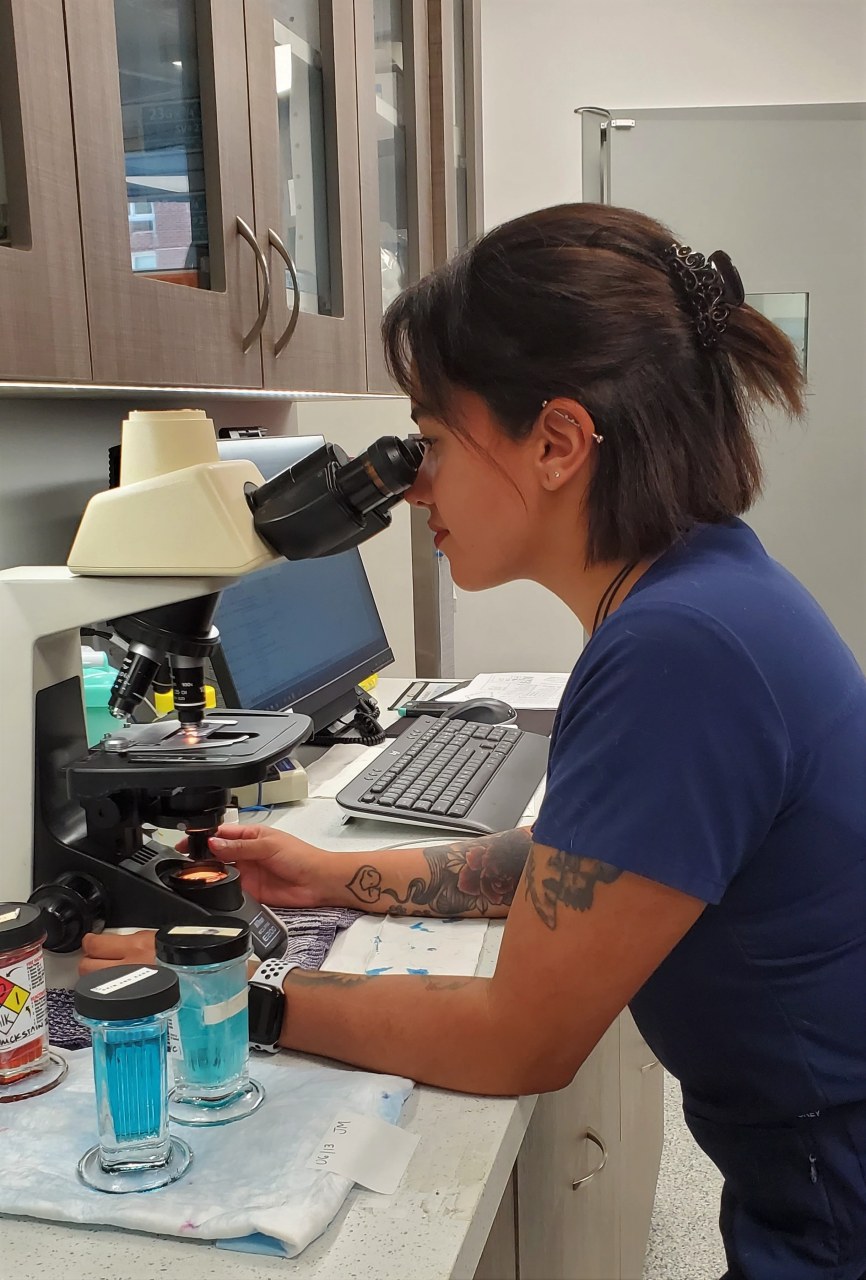 Gallery | Tribeca Soho Animal Hospital