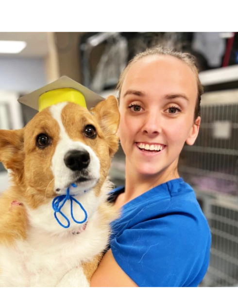 Our Animal Hospital Staff | Southeast Veterinary Oncology & Internal ...