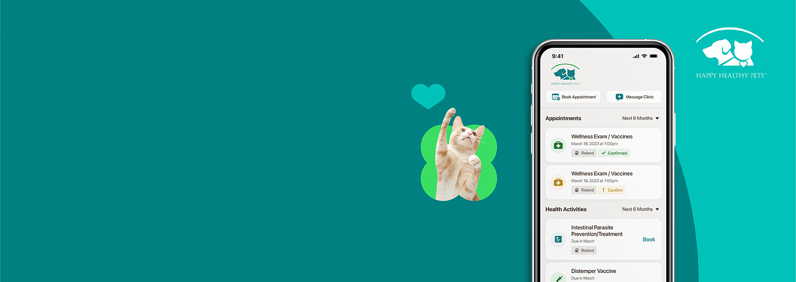 Veterinarian in Boise, ID | The Cat Doctor