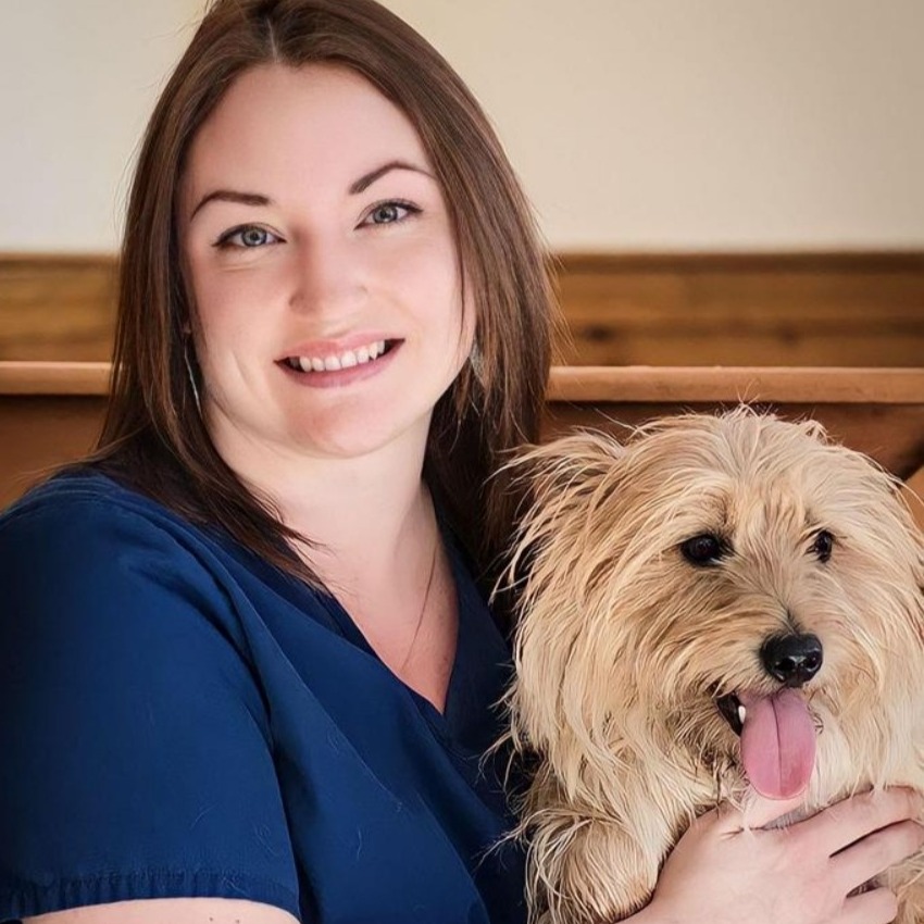 Staff | Best Friends Animal Hospital
