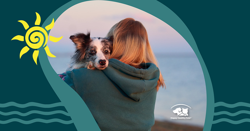 Homepage | Detroit Dover Animal Hospital