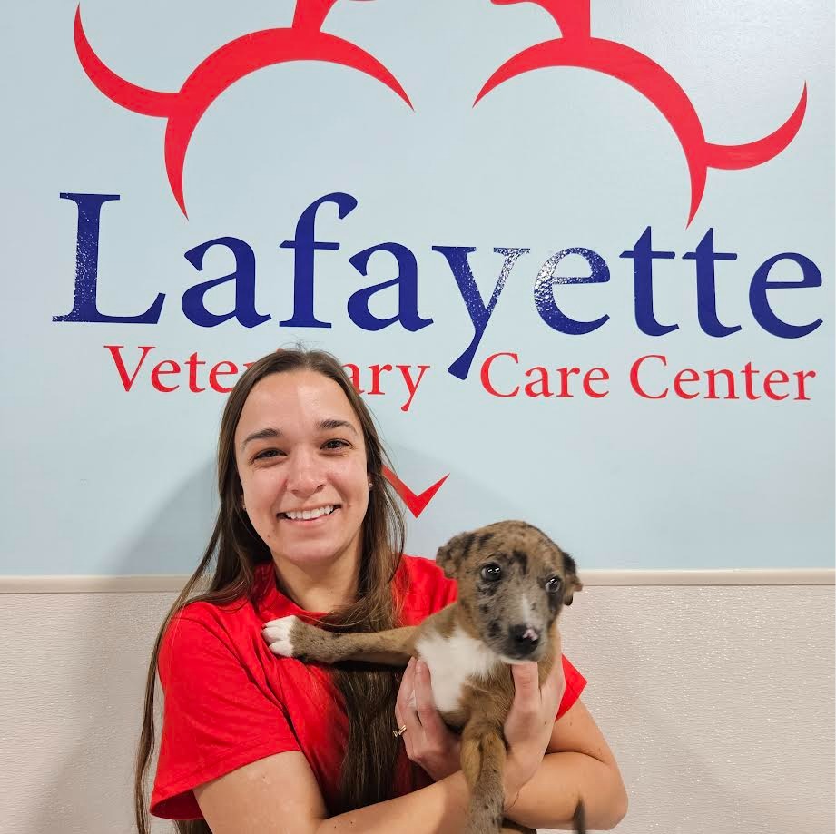 Staff | Lafayette Veterinary Care Center