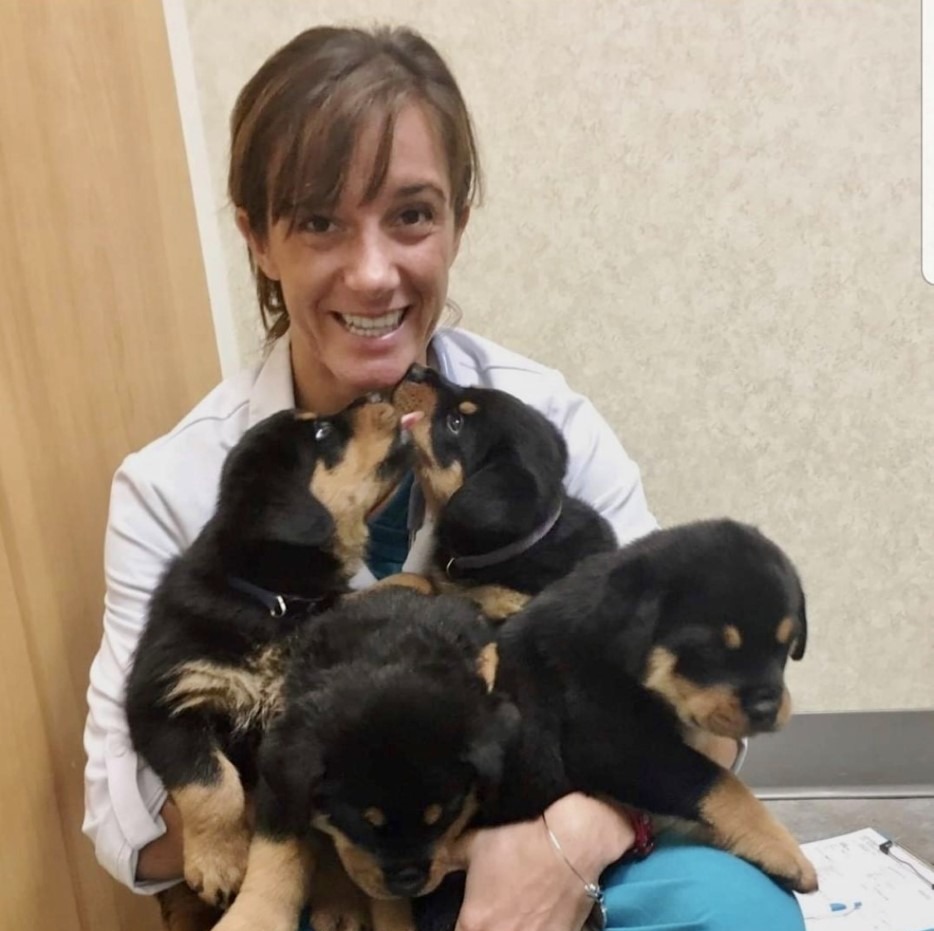 Staff | Riverview Animal Hospital