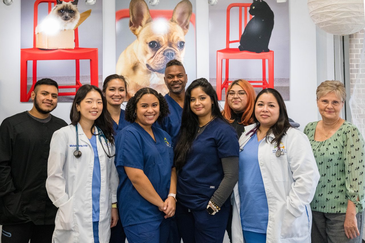 Homepage | Seaport Animal Hospital