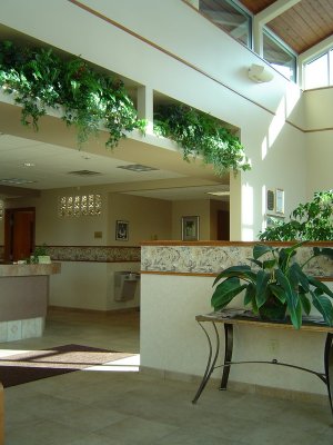 Gallery | Small Animal Hospital