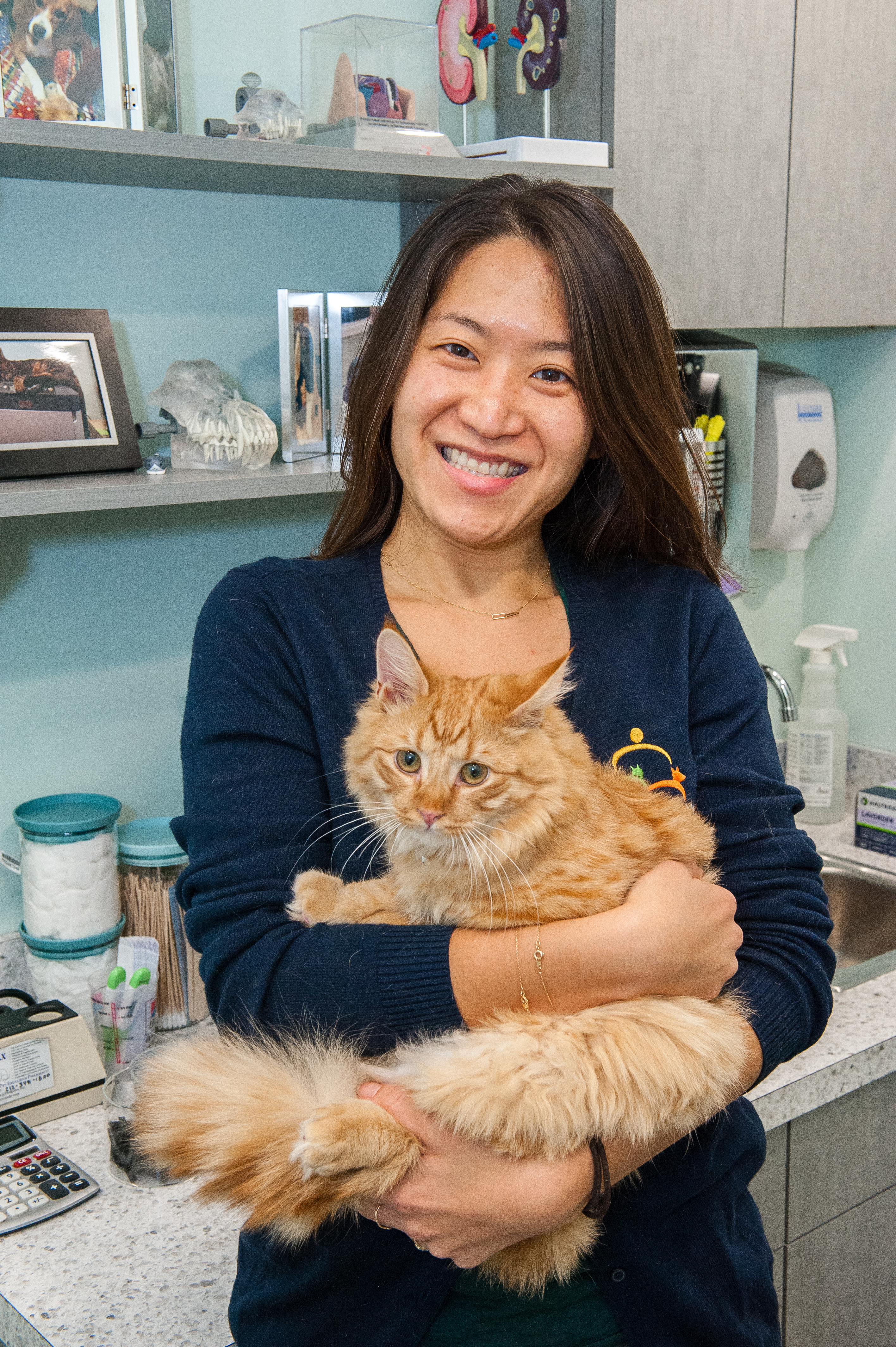 Terry Li | Battery Park Veterinary Hospital