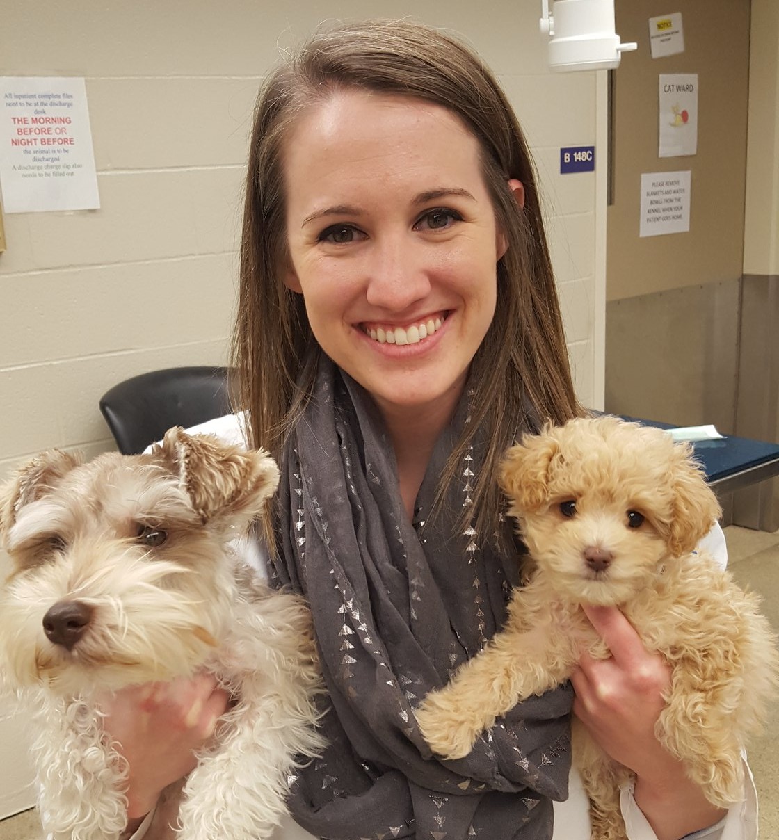 Home Page | Mission Veterinary Emergency & Specialty