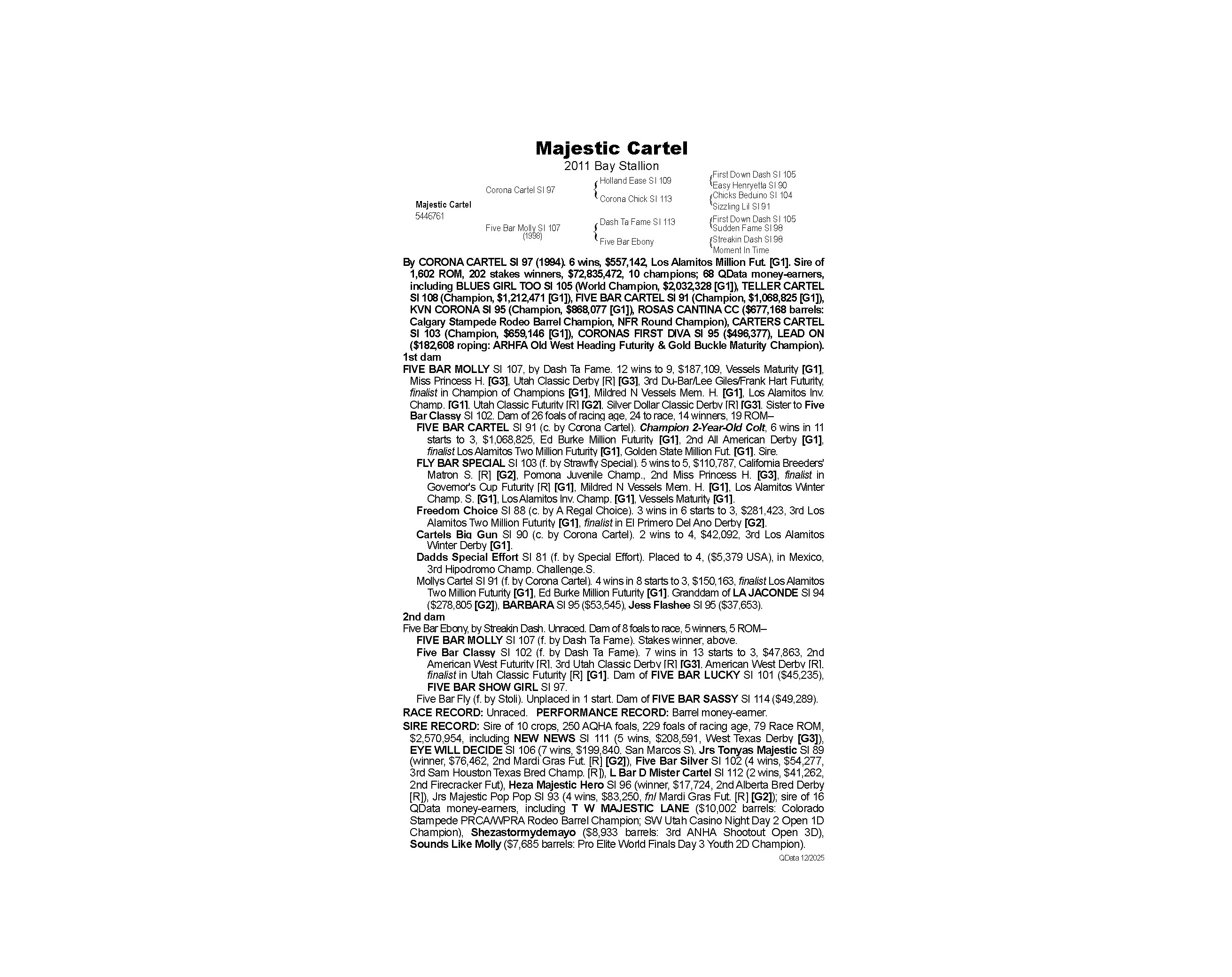 Abraham's Equine Clinic - Majestic Cartel | Abraham's Equine Clinic