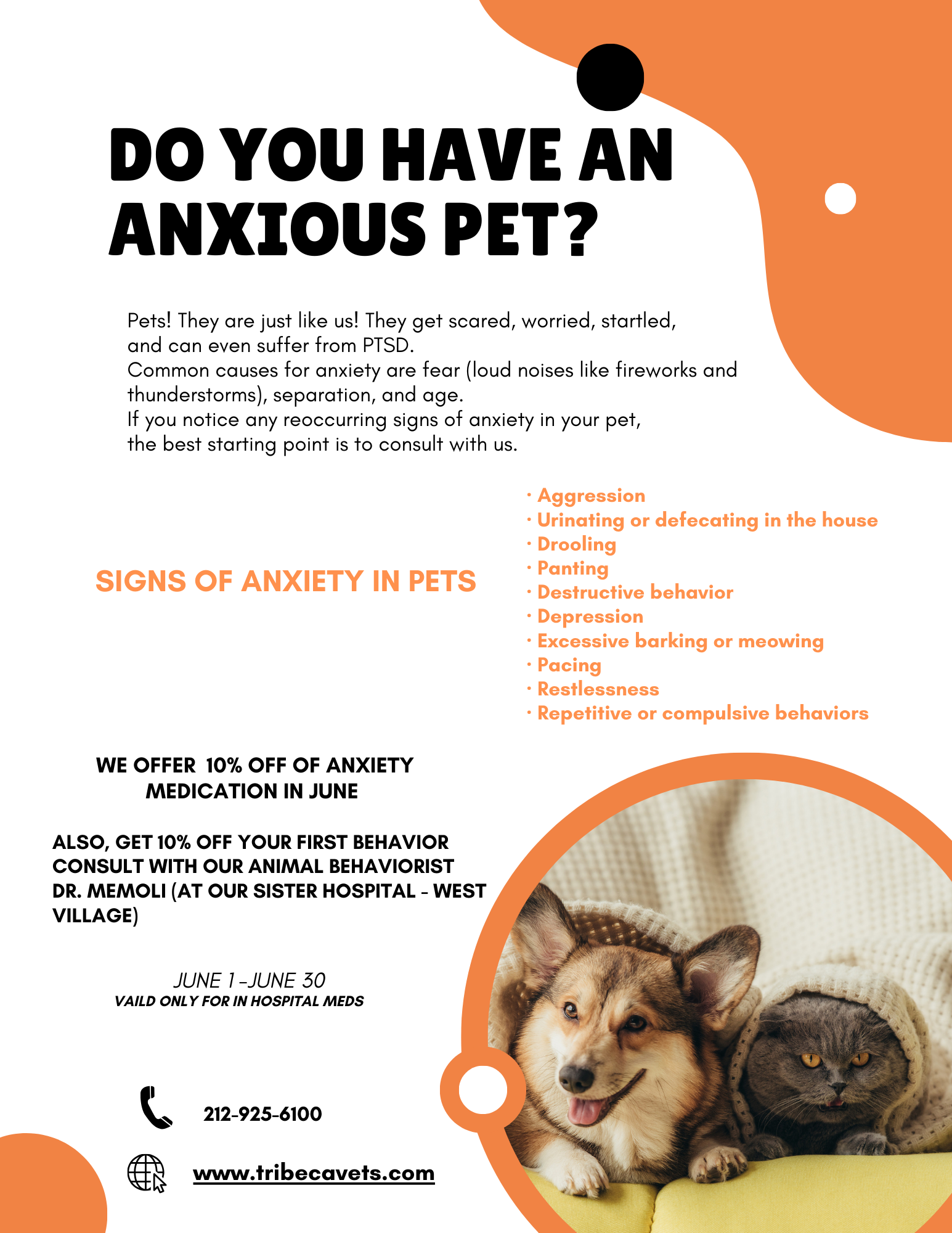 Veterinary Care in New York, NY | Tribeca Soho Animal Hospital