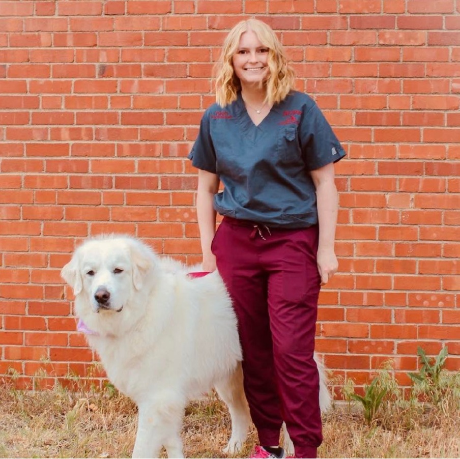 Our Team | Pet Haven Veterinary Clinic