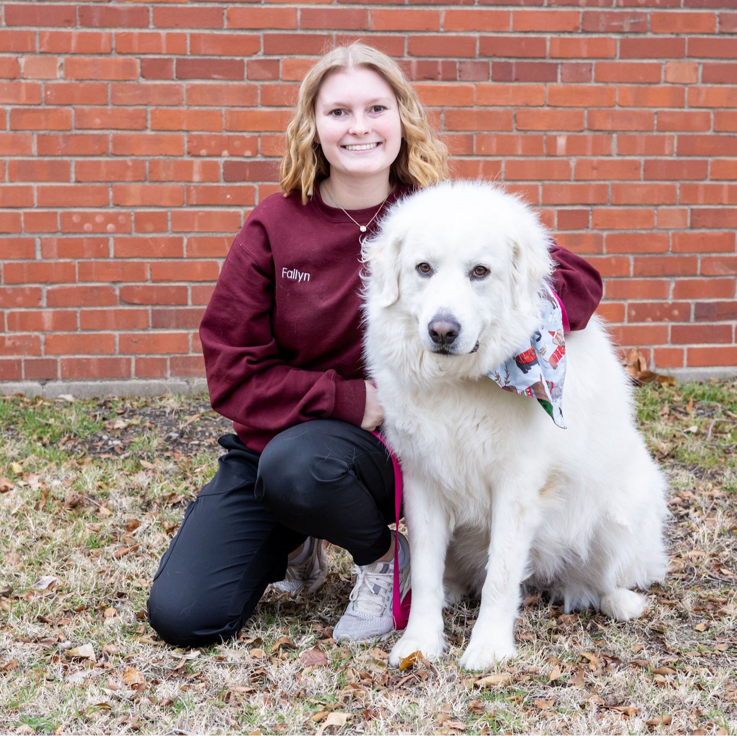 Our Team | Pet Haven Veterinary Clinic