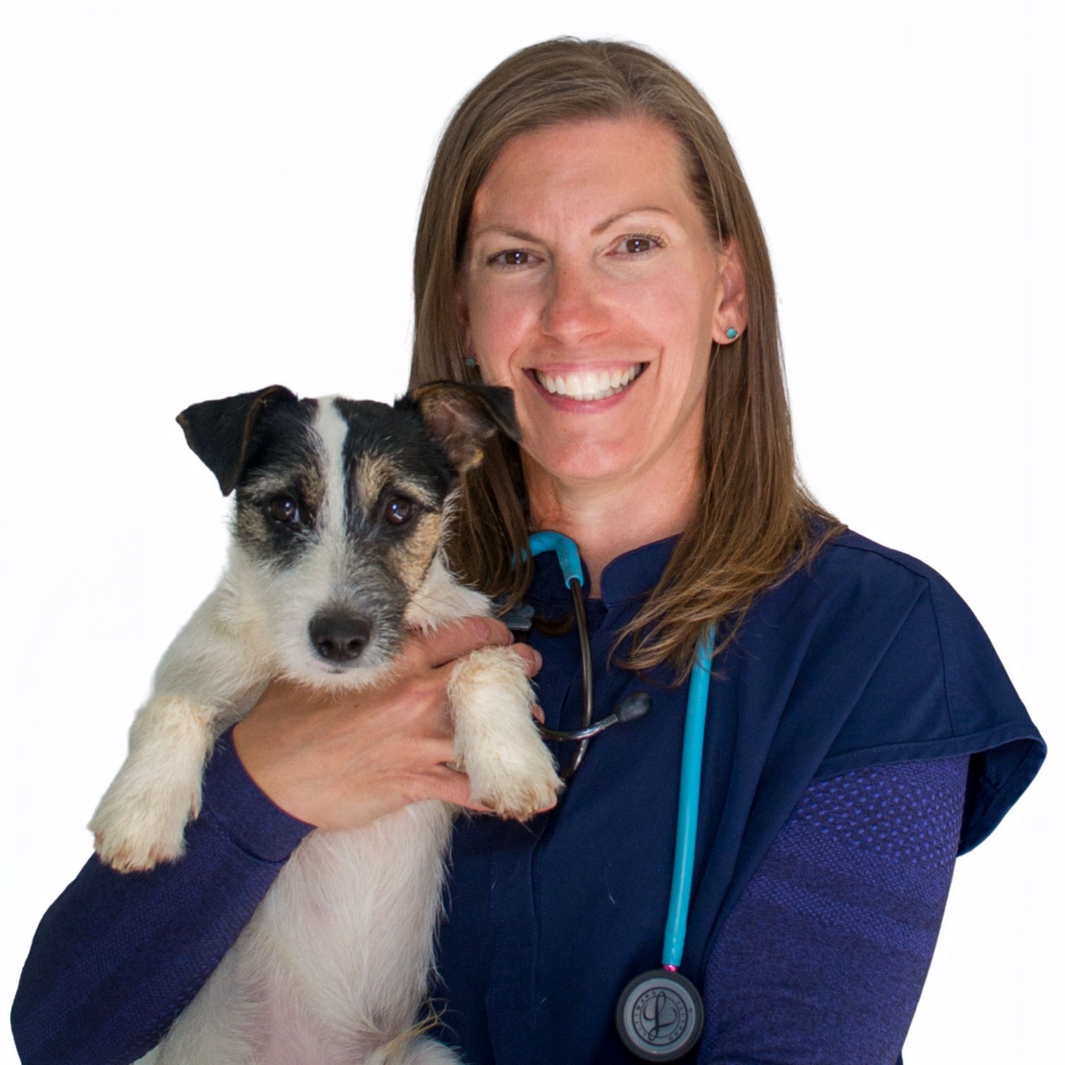 Our Veterinarians in Dartmouth, Nova Scotia | Maritime Veterinary ...