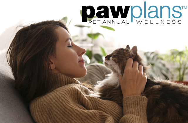 Pet Annual Wellness Plans | The Cat Doctor