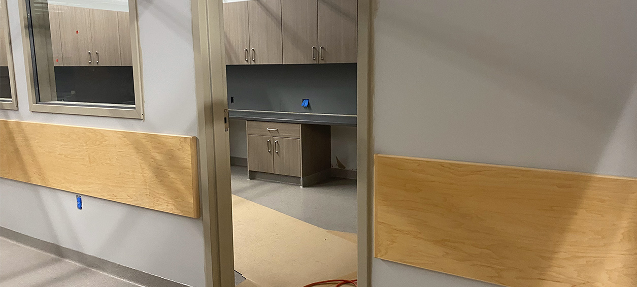 Animal Hospital in West Springfield, MA | Veterinary Emergency ...