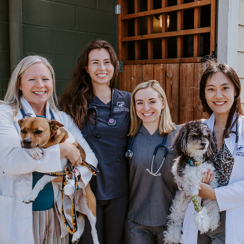 Culture | NVA General Practice