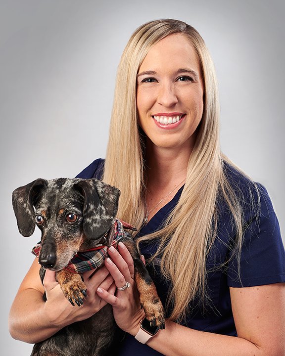 Metropolitan Veterinary Hospital's Staff | Metropolitan Veterinary Hospital