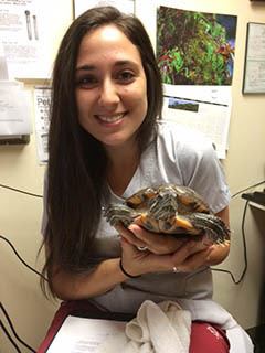 Our Team | City Creatures Animal Hospital
