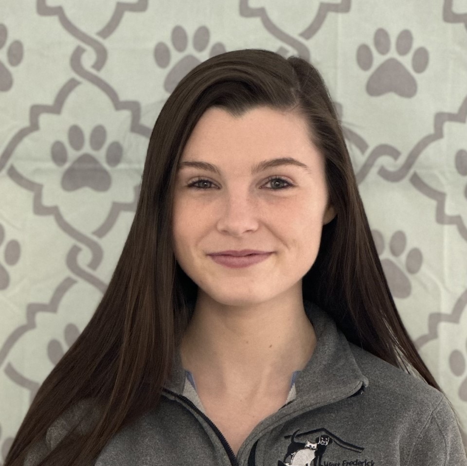 Our Expert Veterinarians in Frederick, MD | West Frederick Veterinary ...