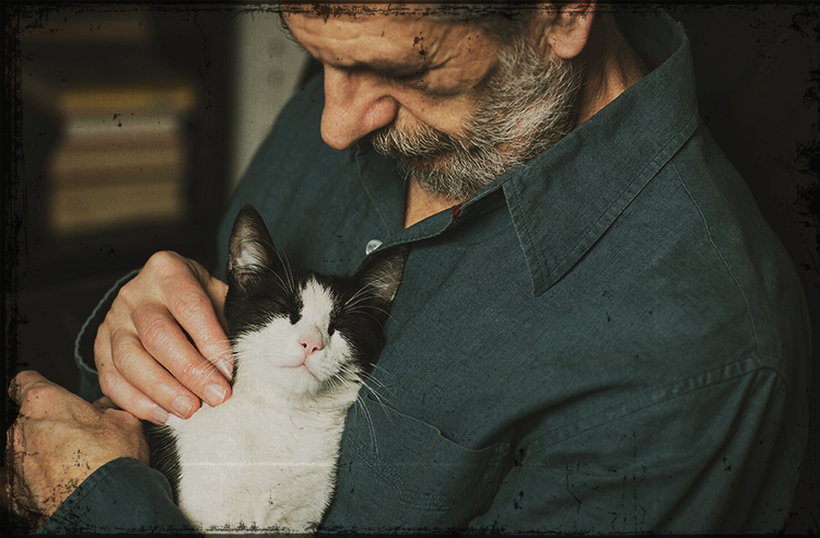 Our Veterinary Services | Queen West Animal Hospital