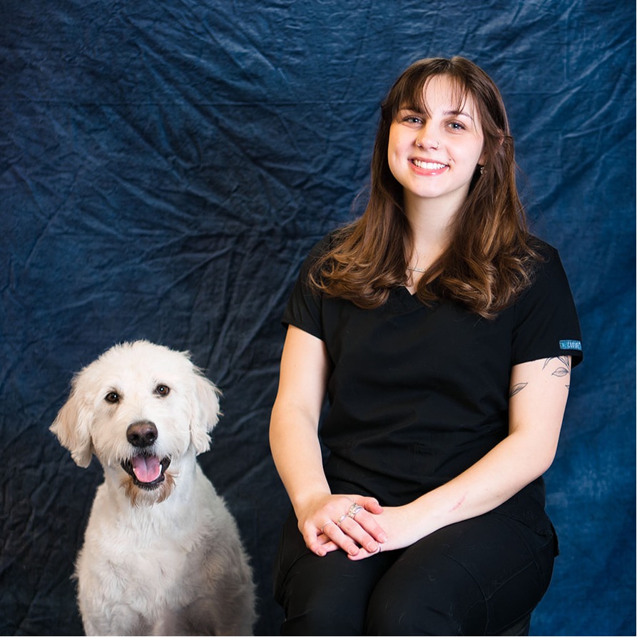 Staff | Animal Hospital of Denison