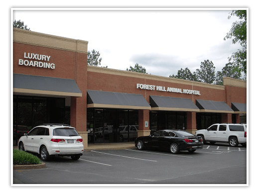 Veterinary Gallery | Forest Hill Animal Hospital